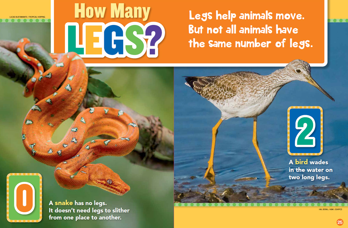 How Many Legs? - NWF | Ranger Rick