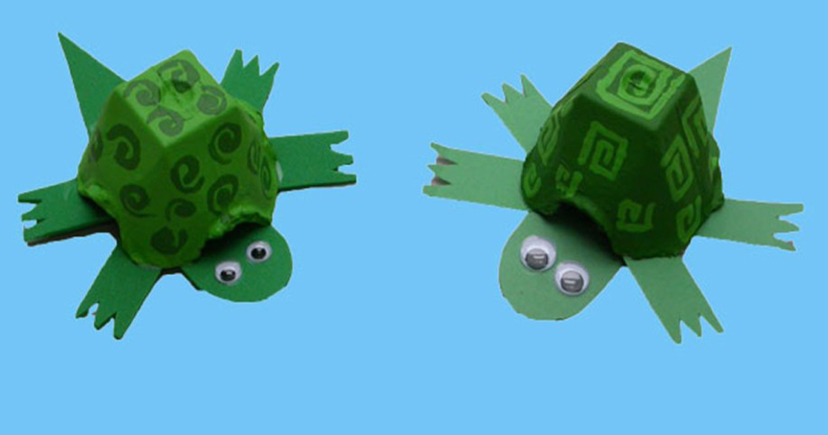 Make Egg Carton Turtles - NWF | Ranger Rick