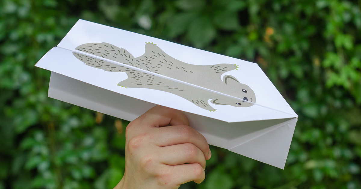 Make a Flying Squirrel Paper Airplane - NWF | Ranger Rick