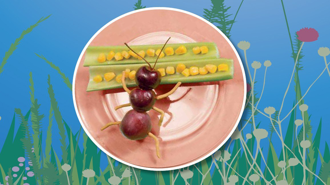 Make Aphids and Ants on a Log - NWF | Ranger Rick