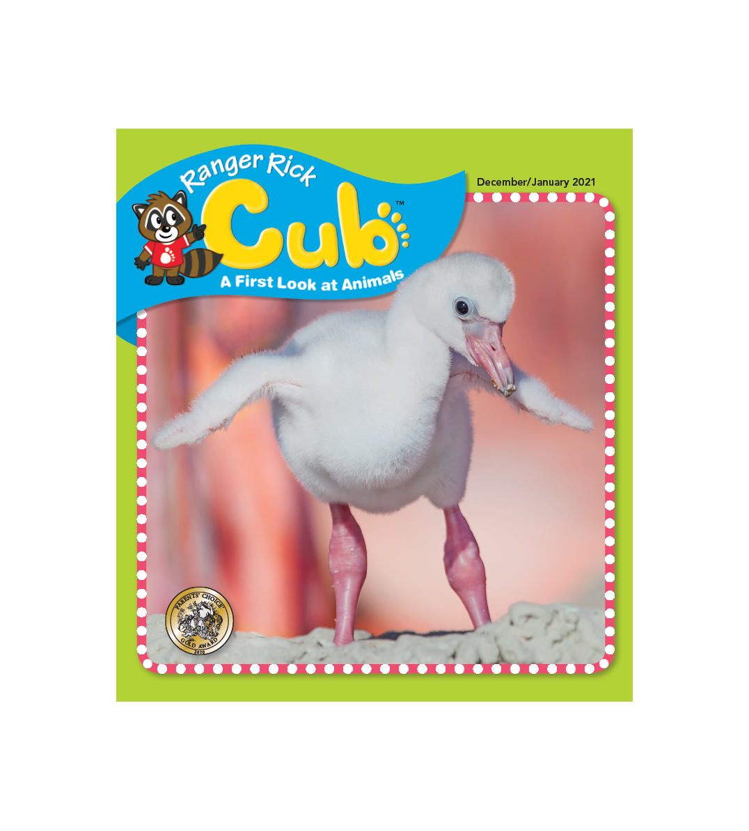 Ranger Rick Cub - NWF | Ranger Rick