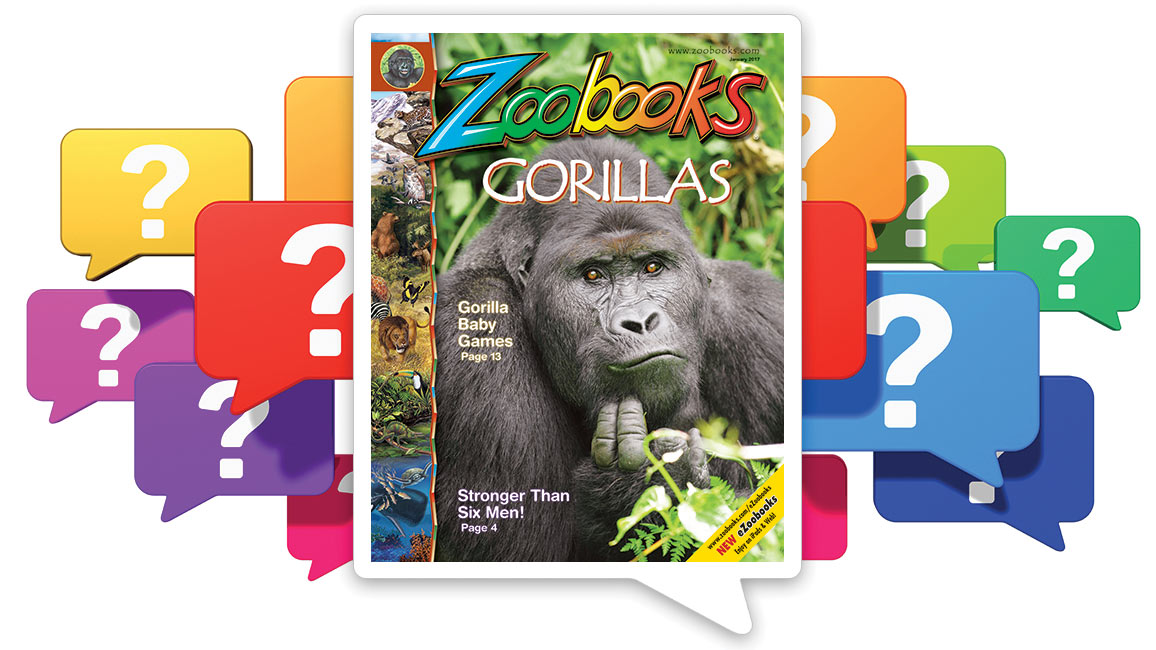 Gorillas - NWF | Ranger Rick