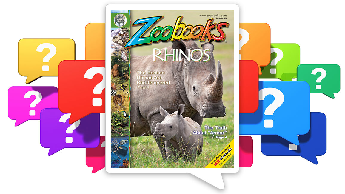 Rhinos - NWF | Ranger Rick