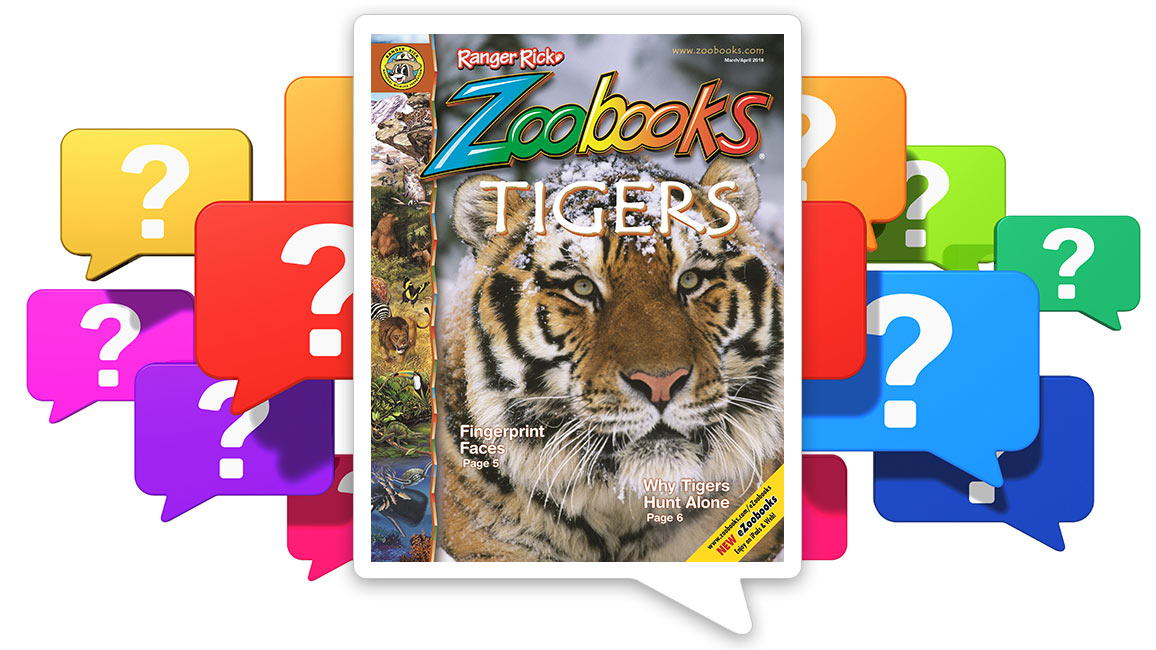 Tigers - NWF | Ranger Rick