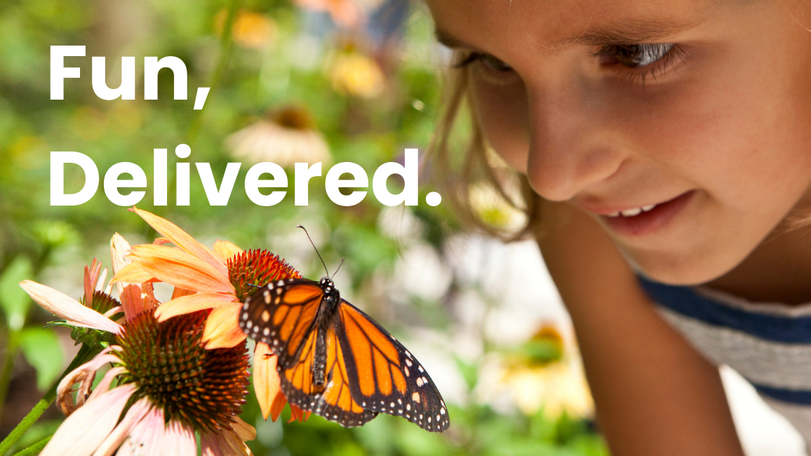 Home - NWF | Ranger Rick