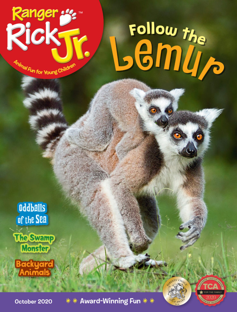 Galleries Archive - Page 2 of 2 - NWF | Ranger Rick