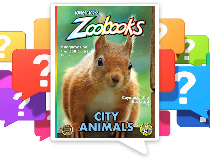 City Animals - NWF | Ranger Rick