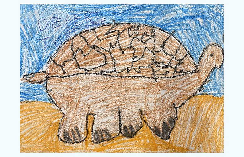 Ricky's Mail - NWF | Ranger Rick