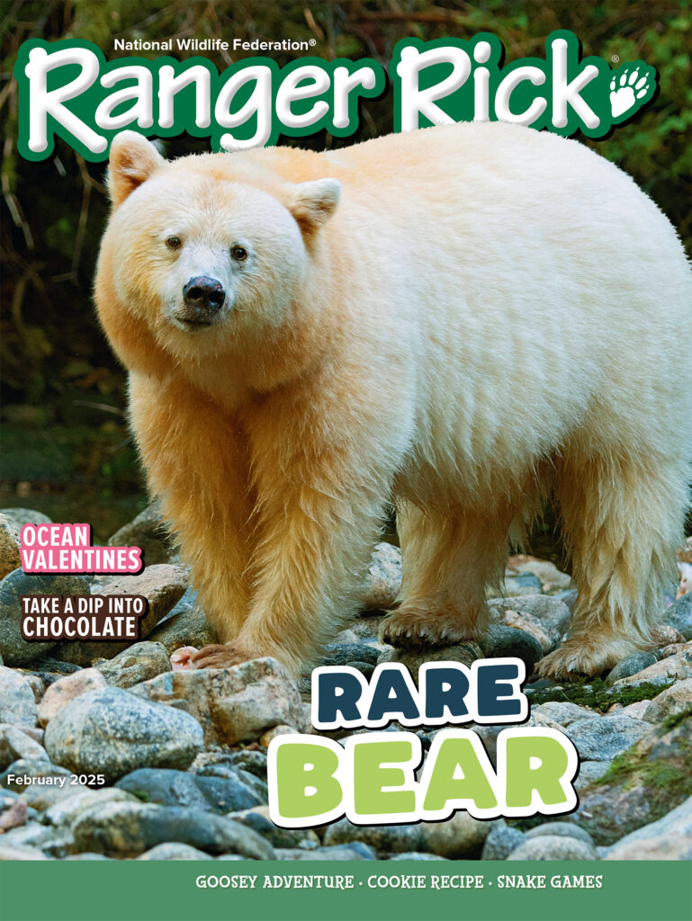 Ranger Rick Magazine - NWF | Ranger Rick