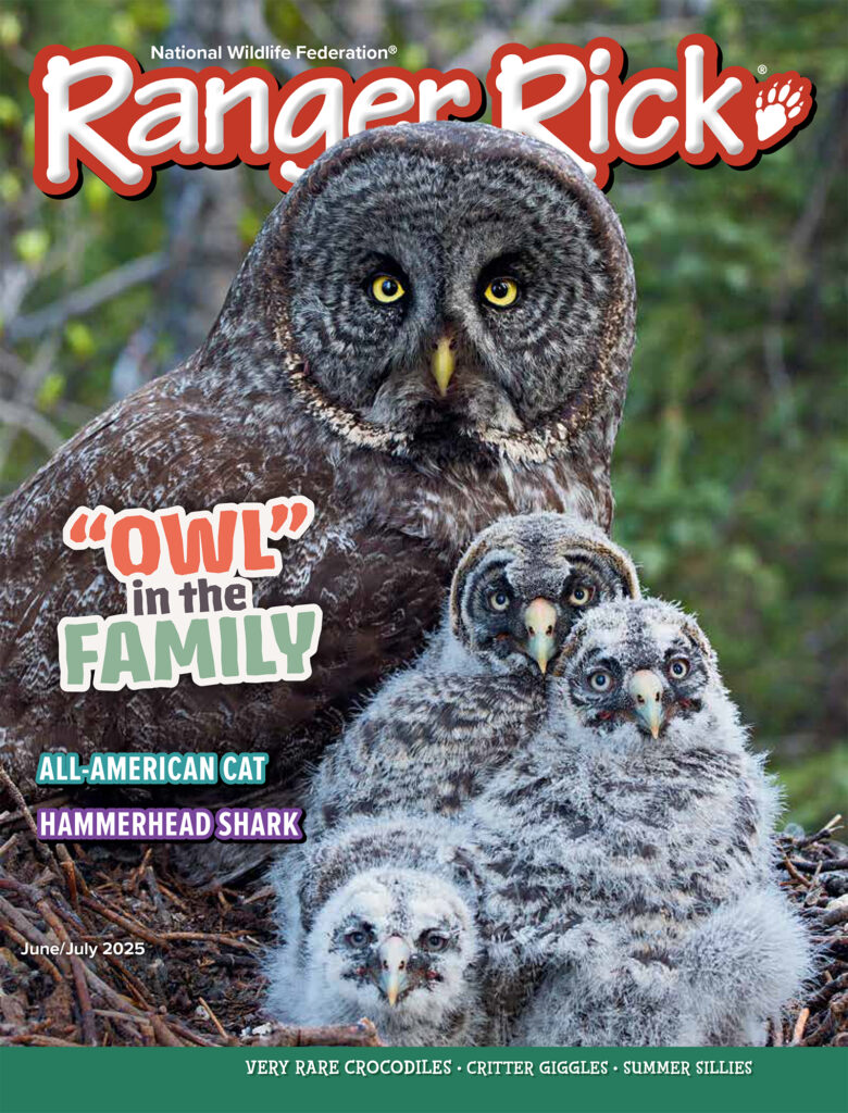 Ranger Rick Magazine - NWF | Ranger Rick